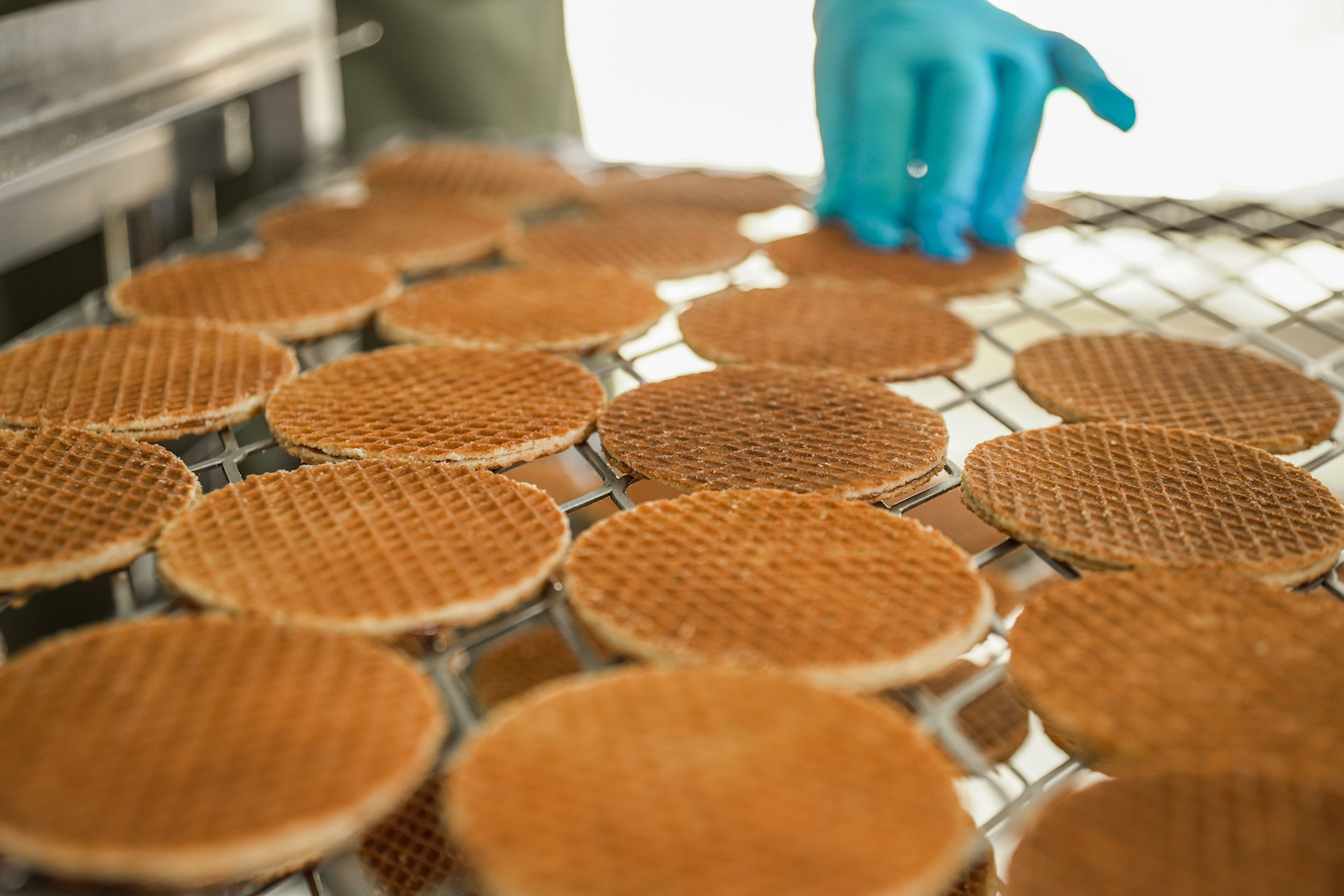 Where There’s a Will There’s a Waffle - SA Voys